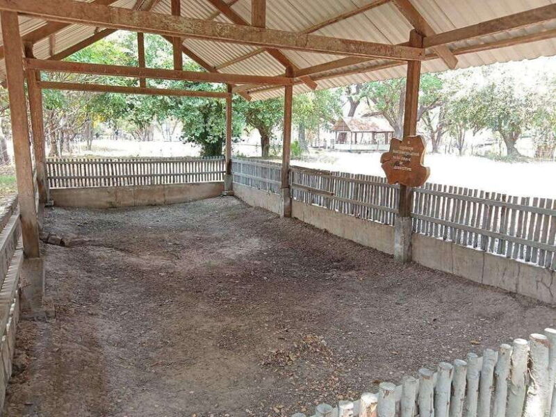 Half Day Trip to S21 Prison Genocidal Museum & Killing Field - Frequently Asked Questions