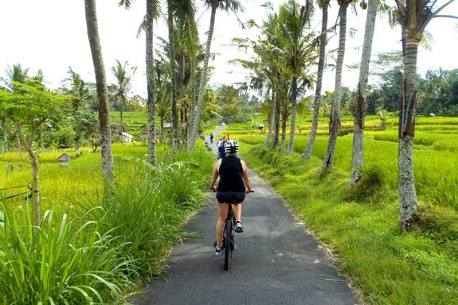 Half-Day Ubud Electric Cycling Tour to Tirta Empul Water Temple - What Youll Experience on the Ubud Electric Cycling Tour
