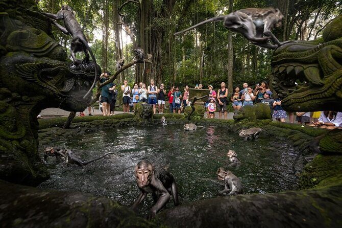 Half Day Ubud Private Tour with All Inclusive - What’s Included and What’s Not?