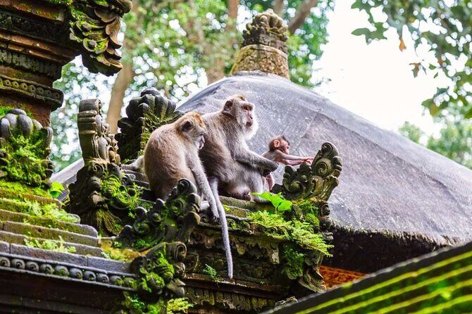 Half Day Ubud Private Tour with All Inclusive - Who Would Love This Tour?