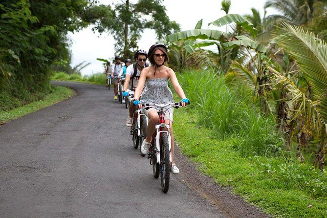 Half-Day Ubud Rice Field and Village Cycling Tour - A Deep Dive into the Experience