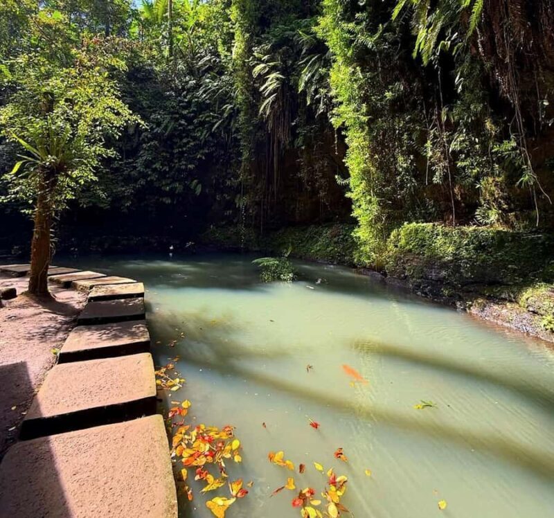 Half-Day Ubud Tour: Pakudui Terraces, Waterfall+Water Temple - Practical Details and Tips