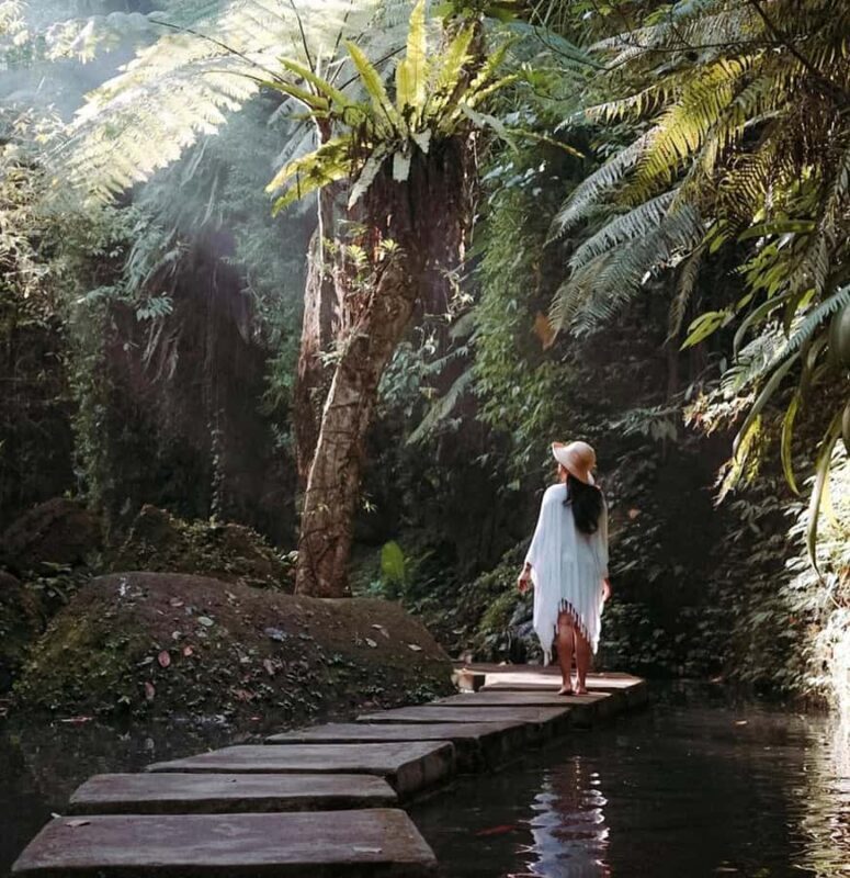 Half-Day Ubud Tour: Pakudui Terraces, Waterfall+Water Temple - What Others Say