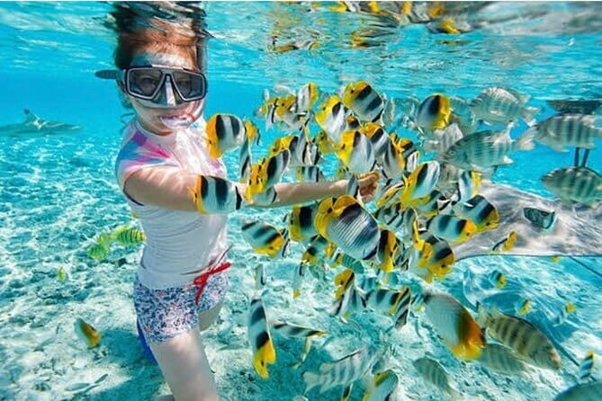 Half Day Ubud Village Private All Inclusive Tour - FAQs