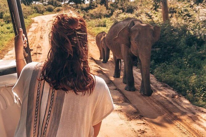 Half Day Udawalawe Safari (Entrance + Lunch) - FAQ