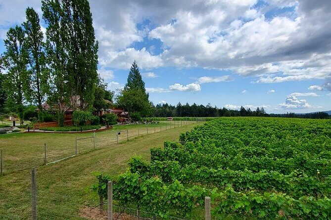 Half-Day Victoria to Cowichan Valley Wine Tour with Tastings - FAQ