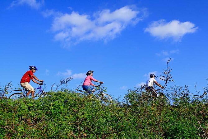 Half Day Village Cycling Tour in Yala: - Introduction