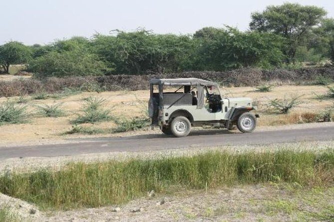 Half Day Village Safari - Introduction: An Authentic Taste of Rural Rajasthan