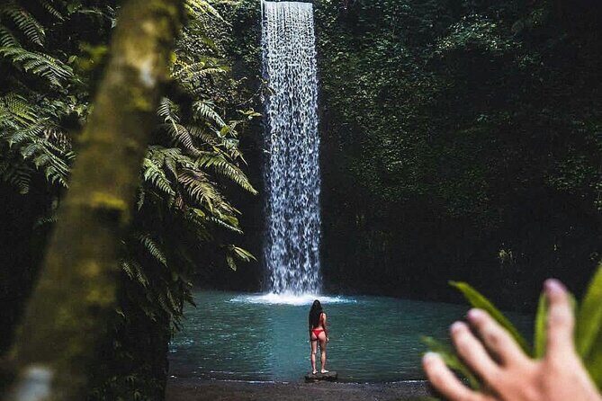 Half Day Visit 3 Waterfalls in Ubud - Value for Money