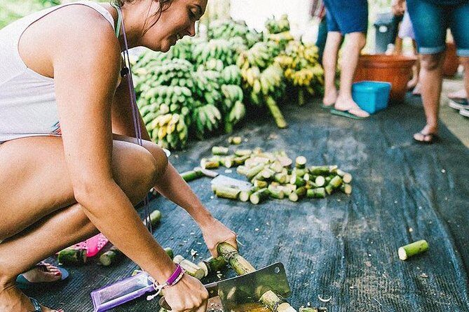 Half Day Visit Elephant Sanctuary in Samui - Key Points