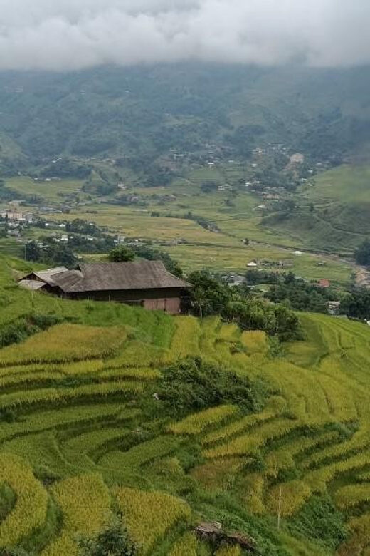 Half Day Visit Y Linh Ho,Lao Chai,Ta Van Trekking With Lunch - Why This Tour Offers Good Value