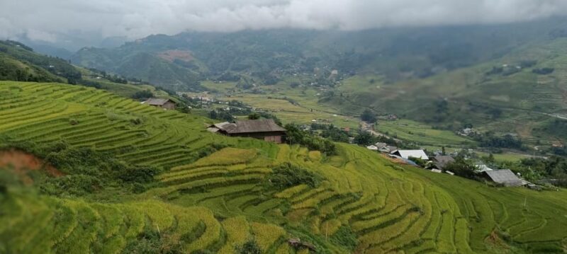 Half Day Visit Y Linh Ho,Lao Chai,Ta Van Trekking With Lunch - Authentic Experiences and Authenticity