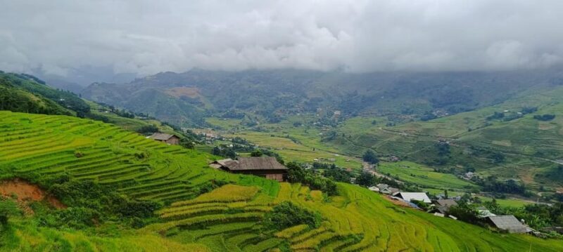 Half Day Visit Y Linh Ho,Lao Chai,Ta Van Trekking With Lunch - Final Thoughts: Who This Tour Is Perfect For