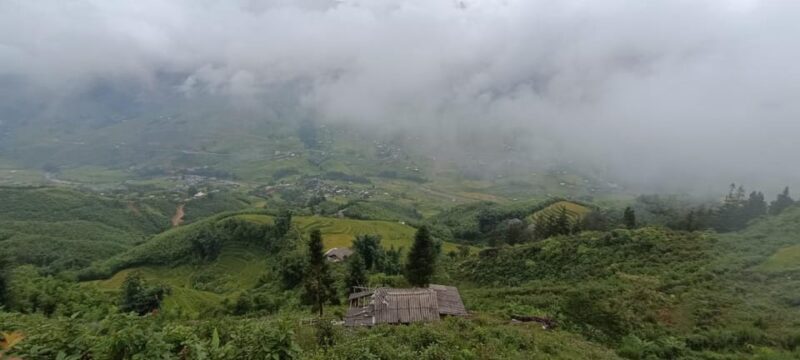 Half Day Visit Y Linh Ho,Lao Chai,Ta Van Trekking With Lunch - FAQ