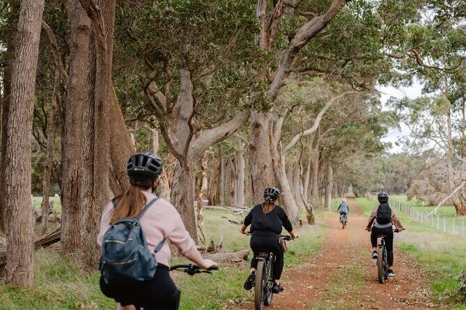 Half Day Wadandi Track Scenic E-Bike Tour - A Closer Look at the Experience