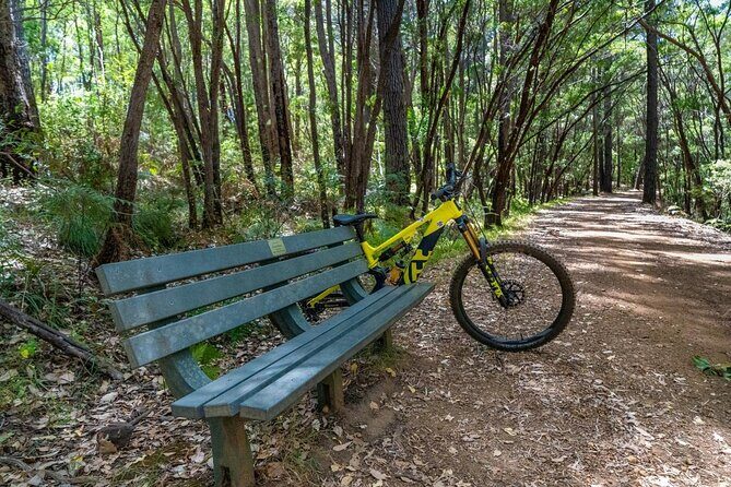 Half Day Wadandi Track Scenic E-Bike Tour - Who Should Consider This Tour?