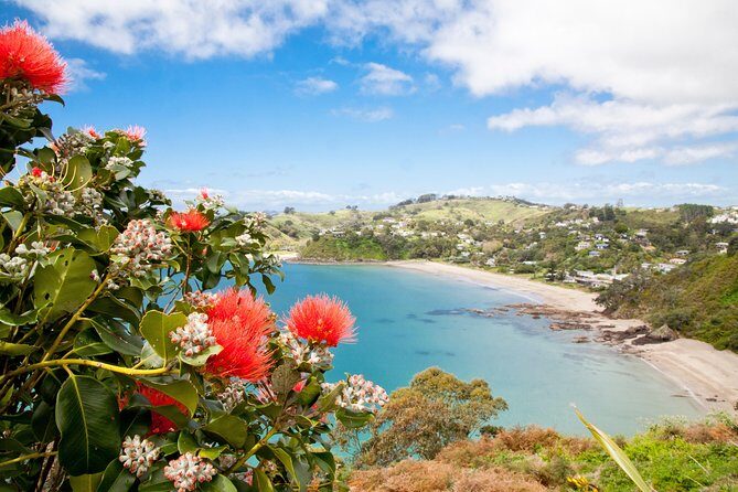 Half Day Waiheke Wine Tour - An In-Depth Look at the Waiheke Half Day Tour