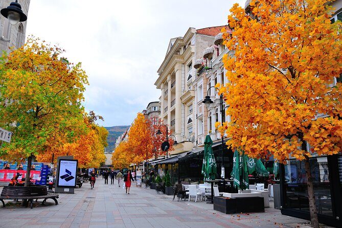 Half Day Walking Tour of Old and New Skopje - The Guide and Group Dynamic