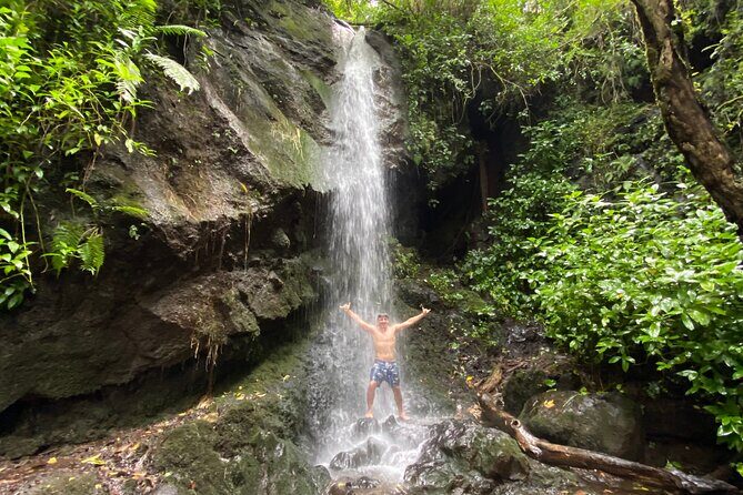 Half-Day Waterfall Tour - Hike, Scenic, Food and Photo - A Close-Up Look at the Half-Day Waterfall Tour in Honolulu
