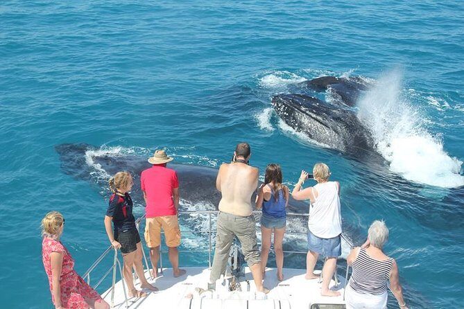Half-Day Whale Watching Sunset Cruise from Broome - Detailed Itinerary Breakdown