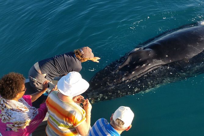Half-Day Whale Watching Sunset Cruise from Broome - FAQ