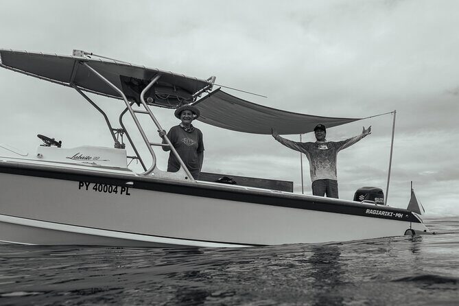 Half day Whales watching PRIVATE group - Why This Whale Tour Stands Out