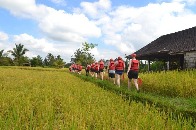 Half Day White Water Rafting Adventure from Bali - An In-Depth Look at the Tour Experience