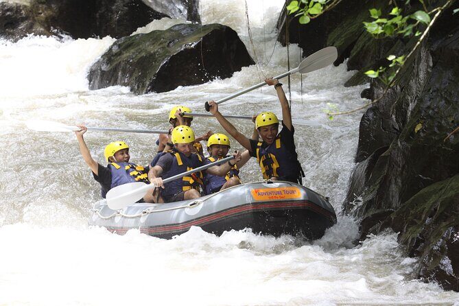 Half Day White Water Rafting Ayung River with Lunch - Key Points