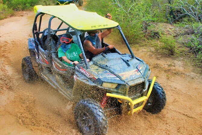 Half-day Wild Desert Polaris Razor UTV Tour - Who Will Love This Tour?