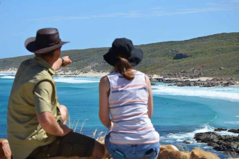 Half day Wine and Sights Discovery Tour Busselton - What’s the Value?