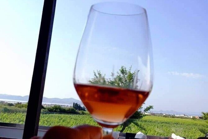 Half Day Wine Tasting with Dinner in Kos - Key Points