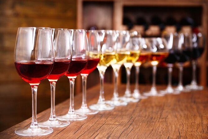 Half-Day Wine Tastings in the North Georgia Mountains - Key Points