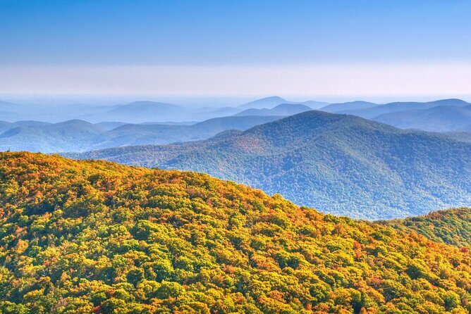 Half-Day Wine Tastings in the North Georgia Mountains - Exploring the Itinerary in Detail