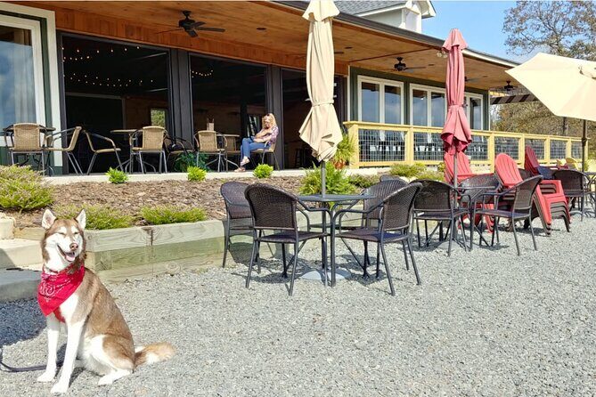 Half-Day Wine Tastings in the North Georgia Mountains - Frequently Asked Questions