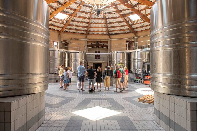 Half-Day Wine tour across Bordeauxs Vineyards - Final Thoughts