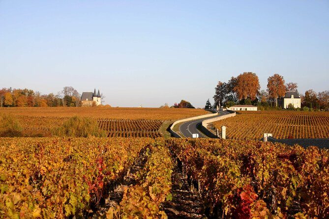 Half-Day Wine tour across Bordeauxs Vineyards - Frequently Asked Questions