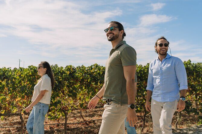 Half Day Wine Tour Around Evora - Key Points