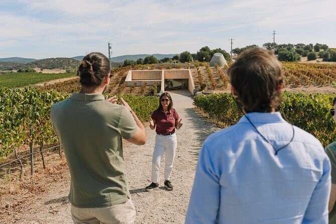 Half Day Wine Tour Around Evora - Who Will Love This Tour?
