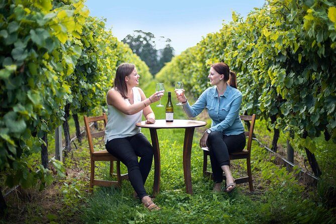 Half-Day Wine Tour from Blenheim - Who This Tour Is Best For
