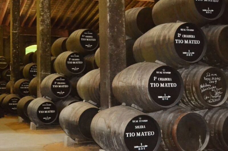 Half-Day Wine Tour in Andalusia in small group - Key Points
