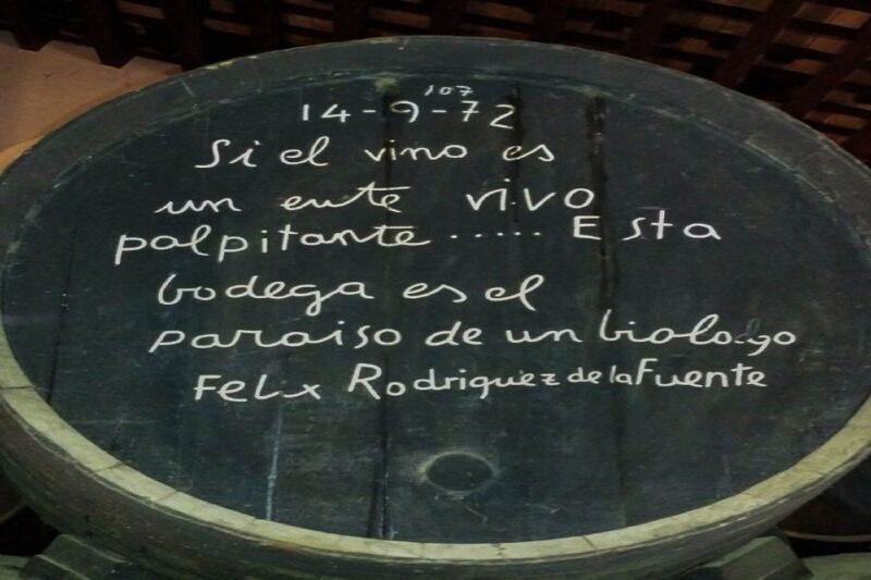 Half-Day Wine Tour in Andalusia in small group - The Full Scope of the Tour