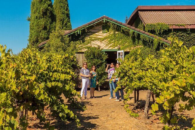 Half-Day Wine Tour Plus Hop-On Hop-Off Bus Pass - Who Should Consider This Tour?