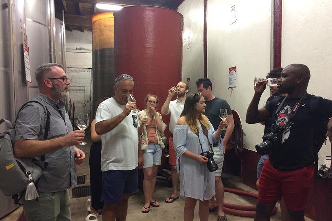 Half day wine tour. Private tour from Carcassonne and around. - An In-Depth Look at the Tour Experience