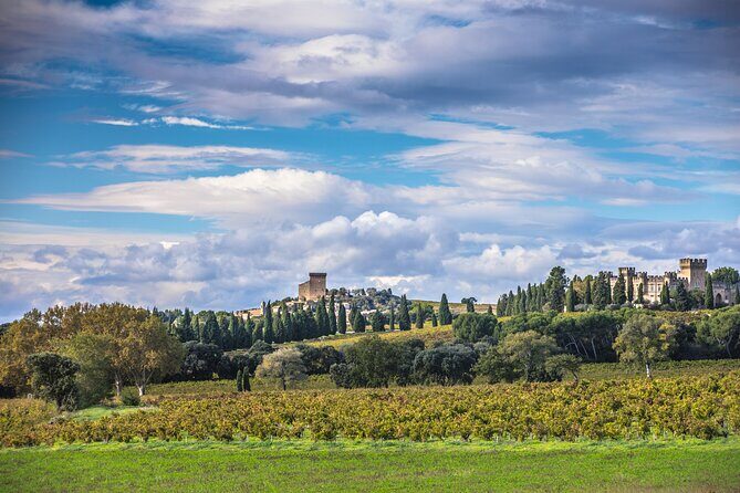 Half-Day Winery and Wine Tasting Guided Walking Tour - An In-Depth Look at What Makes This Tour Special