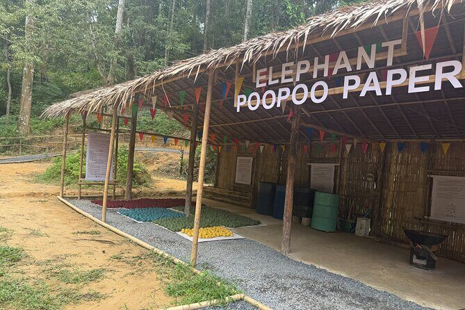 Half day with Elephants at Patong Elephant Hug No ride No trick - The real value of this experience