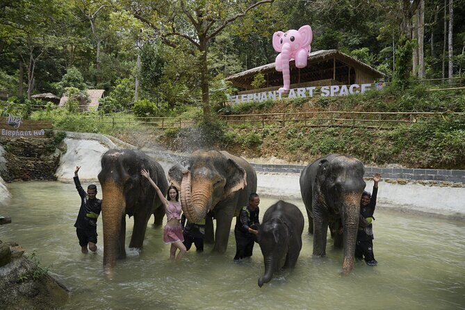 Half day with Elephants at Patong Elephant Hug No ride No trick - Who should consider this tour?