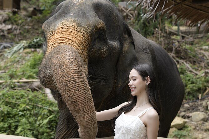 Half day with Elephants at Patong Elephant Hug No ride No trick - The Sum Up: Is it worth it?