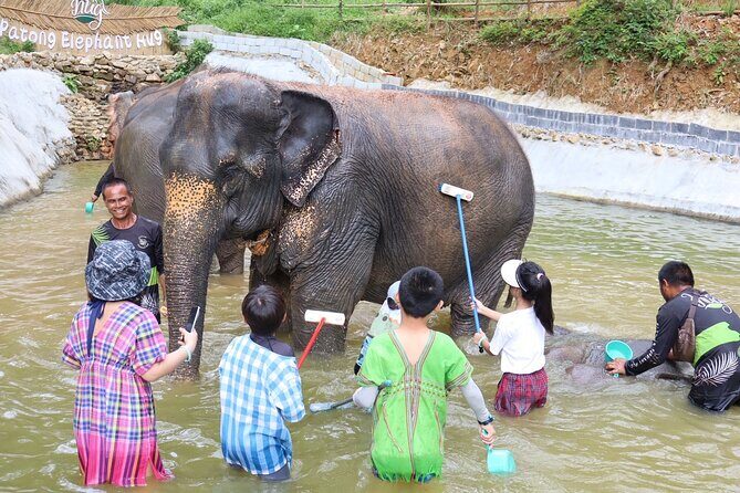 Half day with Elephants at Patong Elephant Hug No ride No trick - FAQs