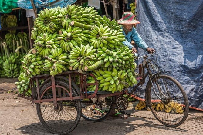 Half Day Yangon Local Adventure Tour - An Authentic Glimpse of Yangon’s Pulse