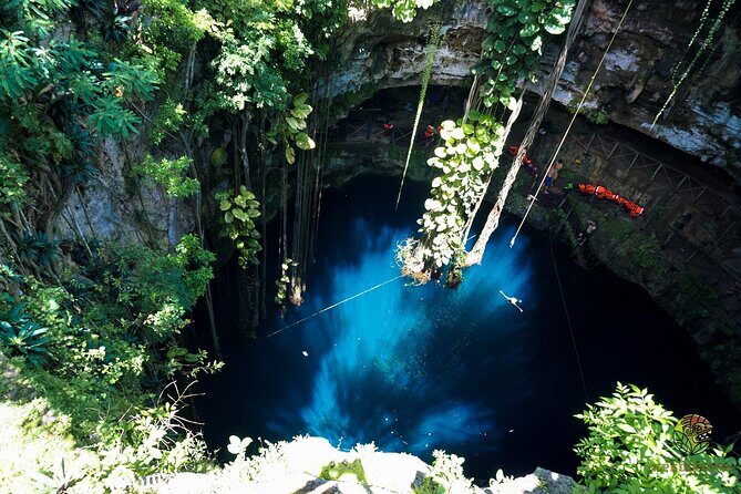 Half-Day Yucatan's Instagram Cenotes PRIVATE TOUR - Key Points
